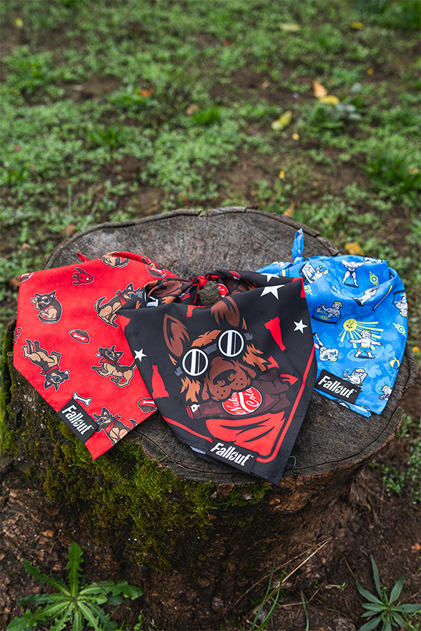 All Bethesda Merchandise – Official Bethesda Gear Store